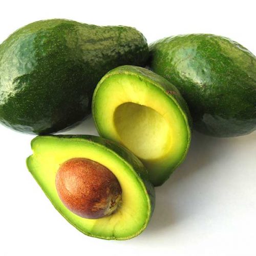 Aguacate Florida - LA ALCANCIA